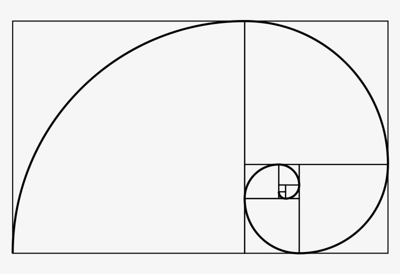 Download Fibonacci Spiral | Transparent PNG Download | SeekPNG
