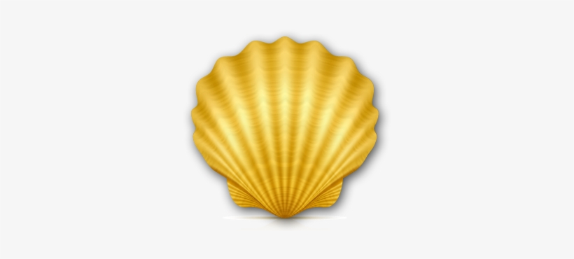 Shell Oracle PNG Image | Transparent PNG Free Download on SeekPNG