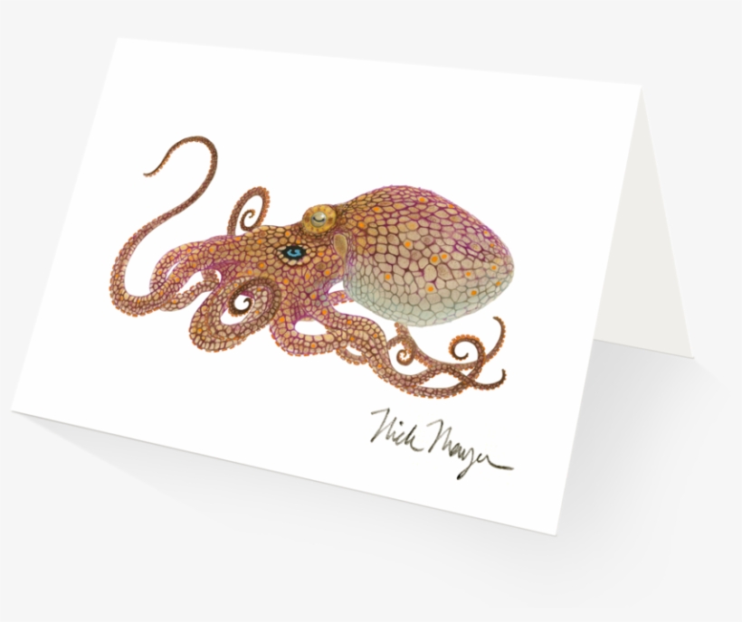 California Two Spot Octopus - Octopus PNG Image | Transparent PNG Free ...