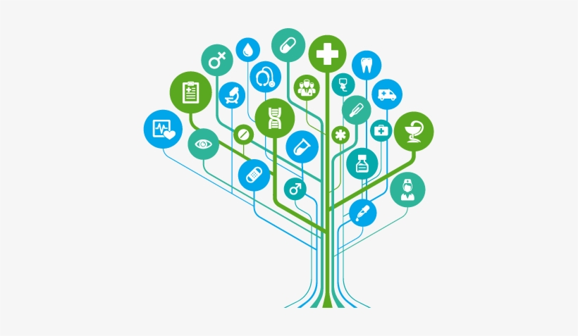 Healthcare Transparent Png - Health Information Exchange Medical Center ...