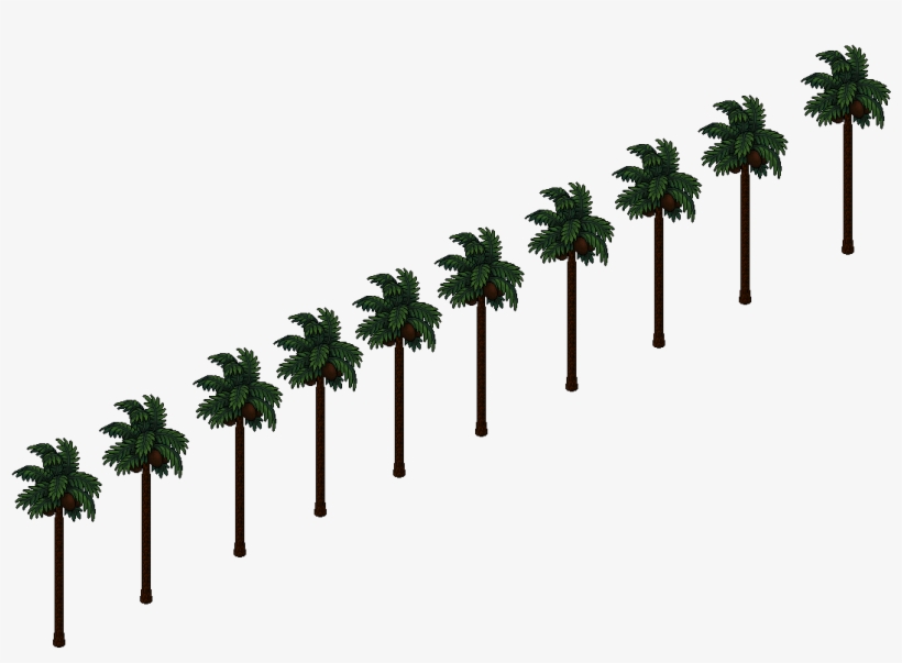 Hollywood - Palm Tree PNG Image | Transparent PNG Free Download on SeekPNG
