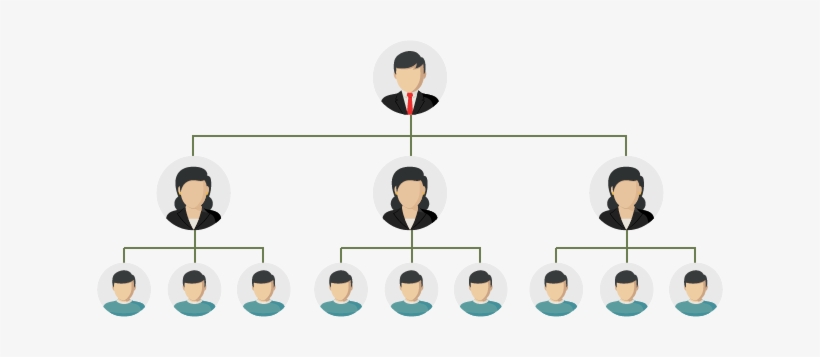 Download Matrix Mlm Plan | Transparent PNG Download | SeekPNG