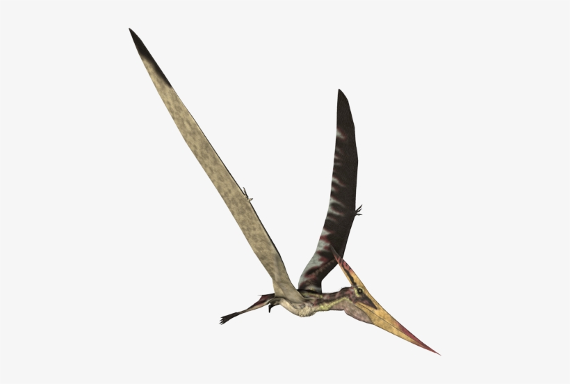 Flying Dinosaurs PNG Image | Transparent PNG Free Download on SeekPNG