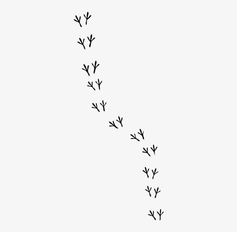 Chicken Footprint Clipart