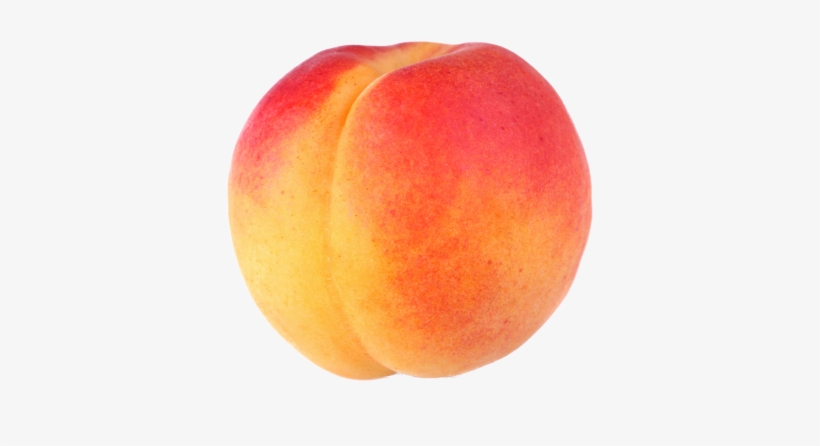 Tiny Butt-fruit - Peach Png PNG Image | Transparent PNG Free Download ...
