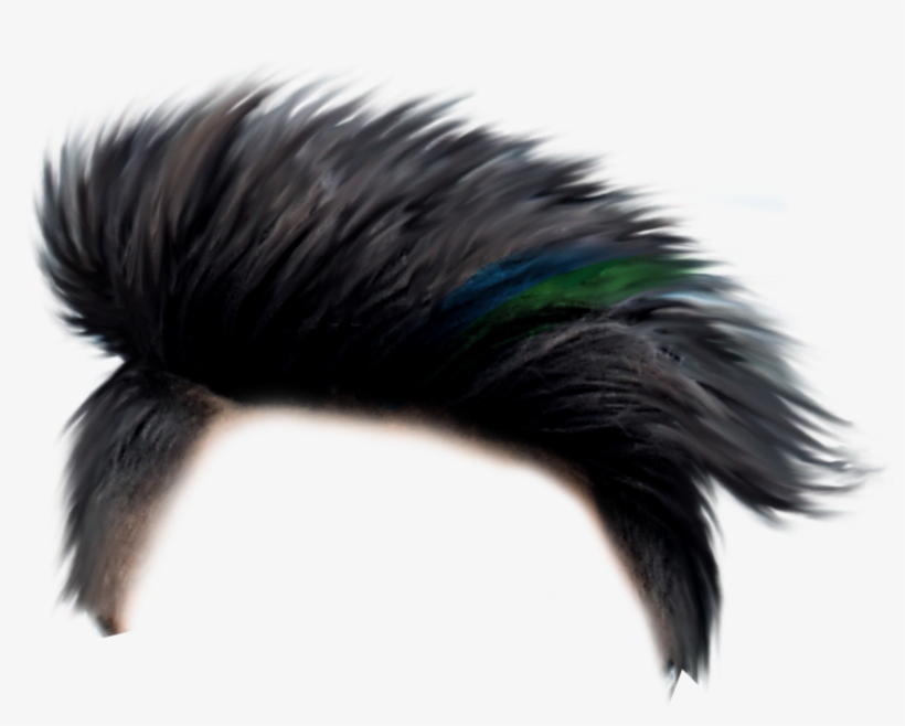 Hair Png Hd PNG Image | Transparent PNG Free Download on SeekPNG