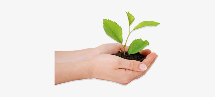 Environmental Management System - Hand Environment PNG Image ...