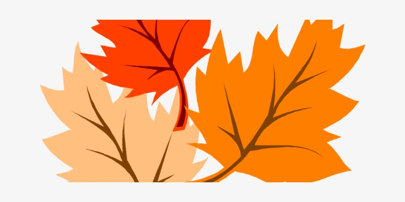 Autumn Leaves Clipart Thanksgiving - Fall Clip Art PNG Image ...