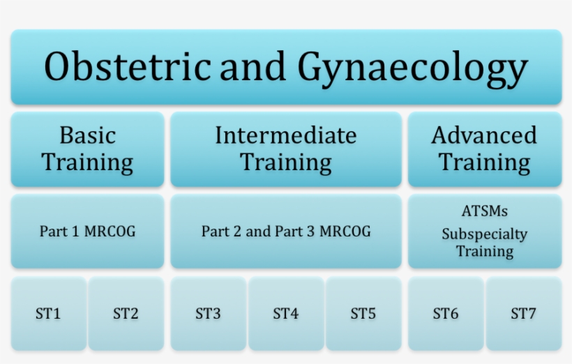 Obs And Gynae St1 Training Pathway - Training PNG Image | Transparent ...