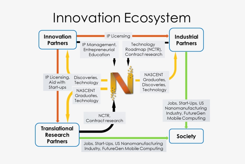 Graphic Representing The Innovation Ecosystem In Which - Innovation ...