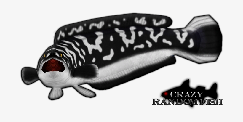 Giant Snakehead By Budhiindra-d58jtya - Giant Snakehead Fish Art PNG ...