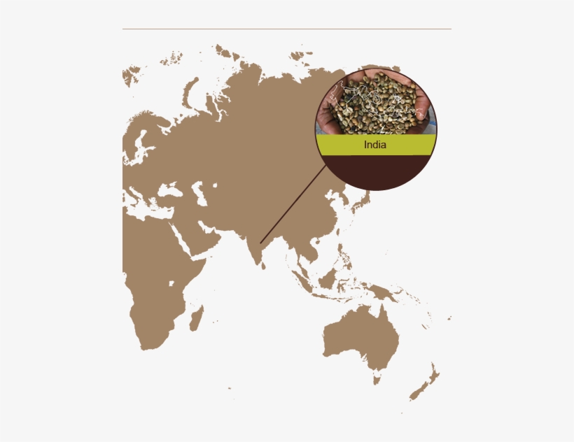 India Map - Ecuador Map Of Continent PNG Image | Transparent PNG Free ...