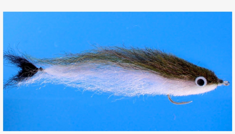 Enrico Puglisi Finger Mullet - Bait Fish PNG Image | Transparent PNG ...