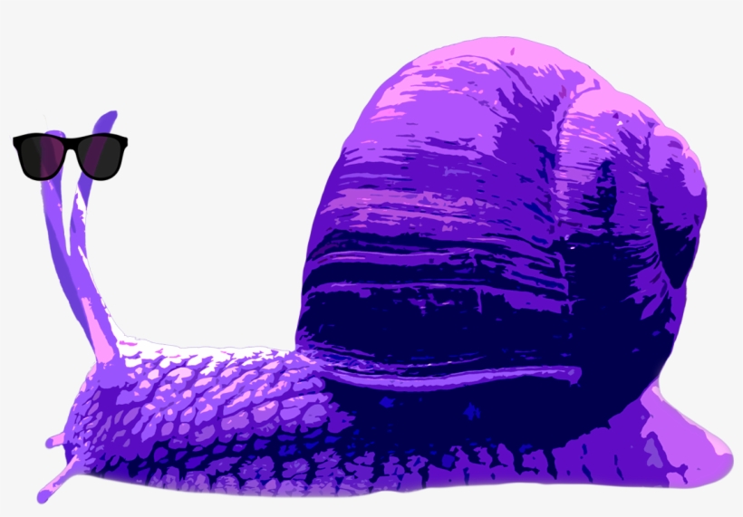 Trippy Transparent PNG Image | Transparent PNG Free Download on SeekPNG