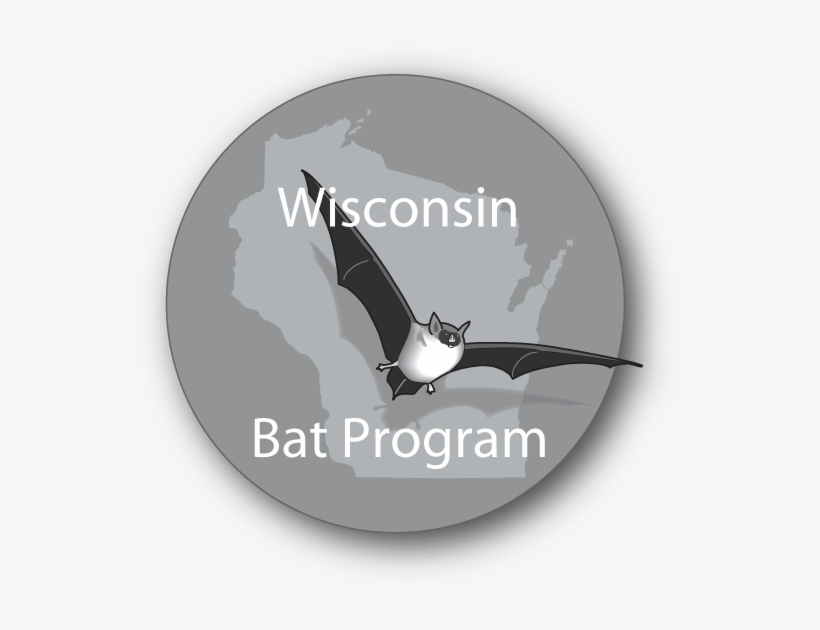 Wisconsin Bat Program Logo - Wisconsin PNG Image | Transparent PNG Free ...