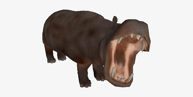 European Hippopotamus - Wiki PNG Image | Transparent PNG Free Download ...