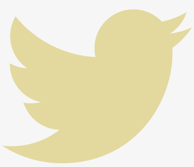 Twitter Bird Logo Transparent