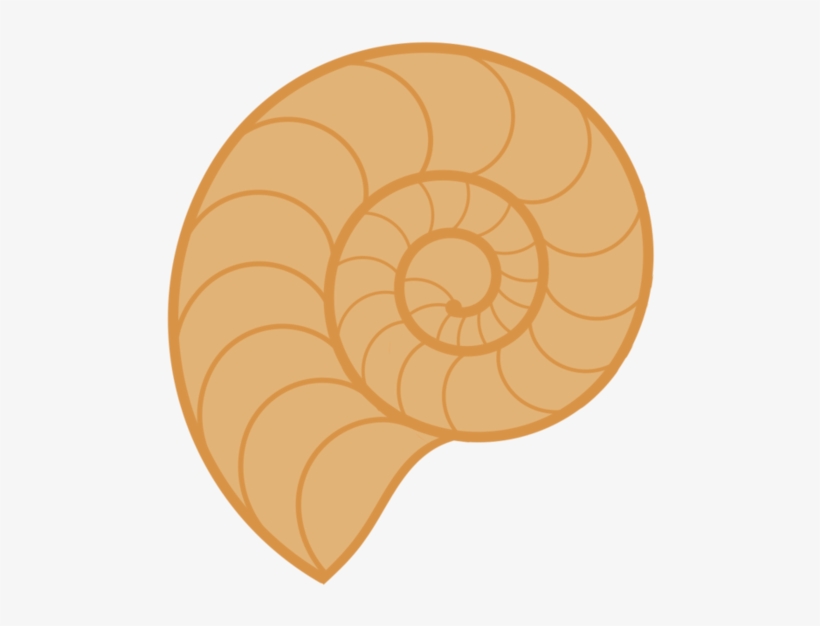 Related Wallpapers - Vector Shell PNG Image | Transparent PNG Free ...