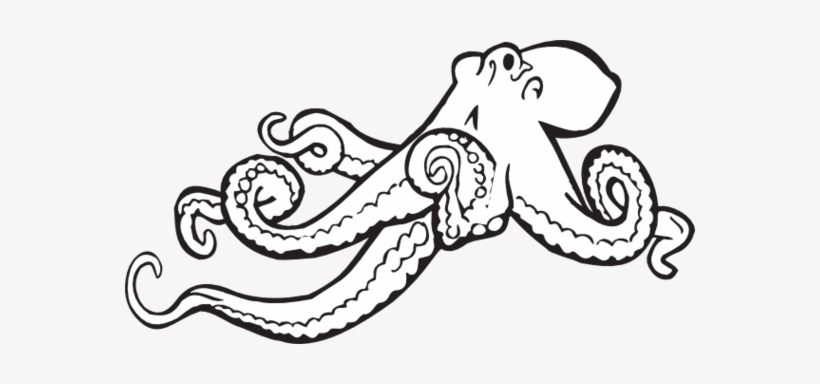 Kraken Line Drawing