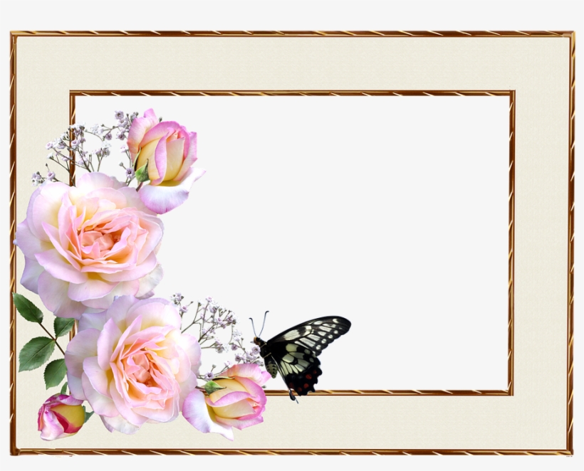 Frame, Border, Roses, Butterfly, Design - Border Design Butterfly PNG ...