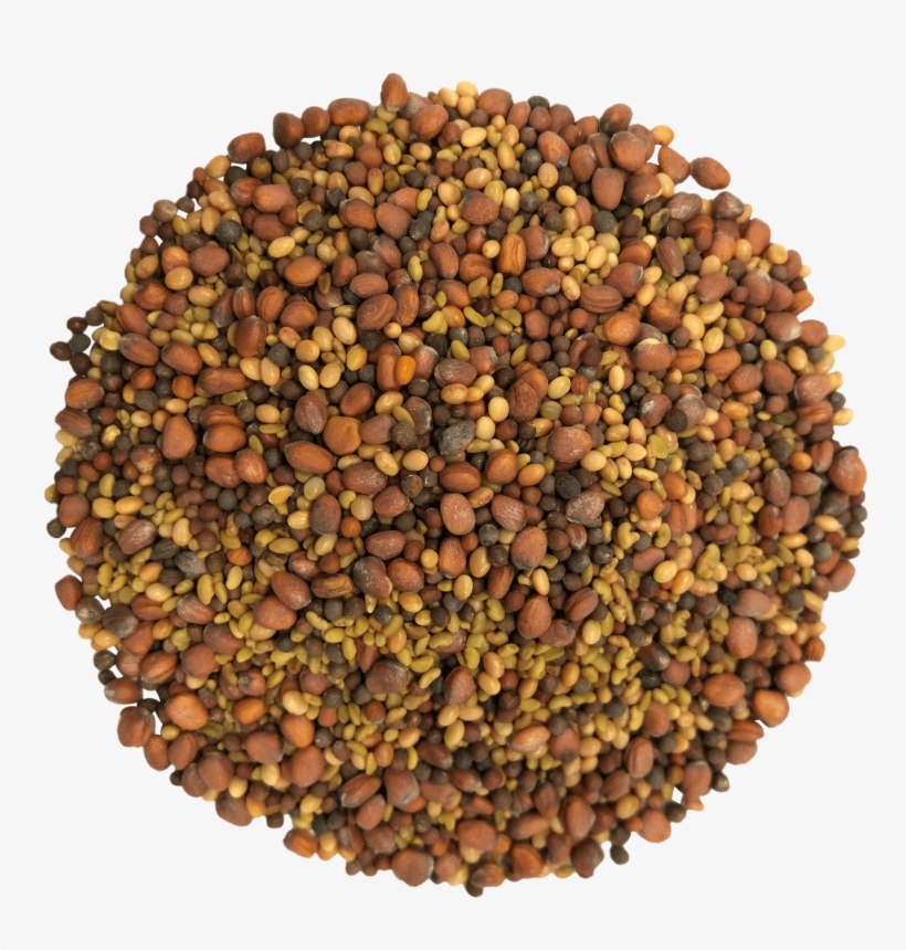 Salad Mix Of Sprouting Seeds Without Bag - Sprouting PNG Image ...