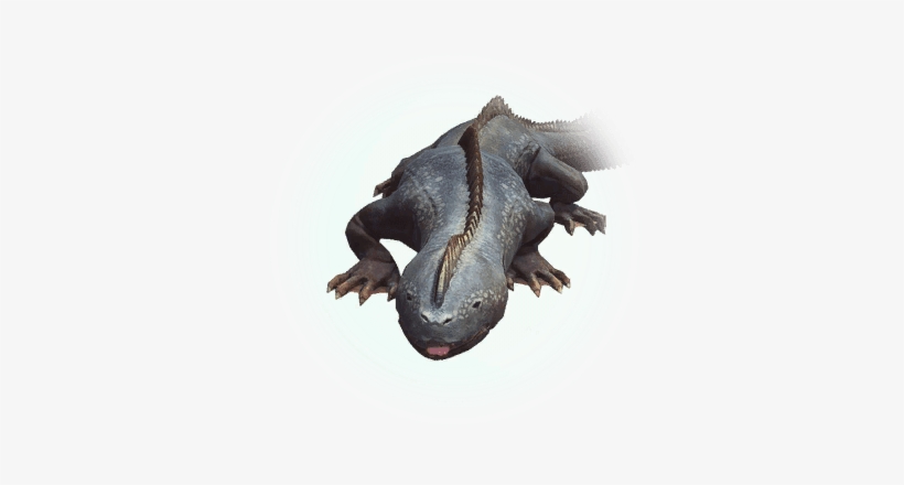 Scary Salamander PNG Image | Transparent PNG Free Download on SeekPNG