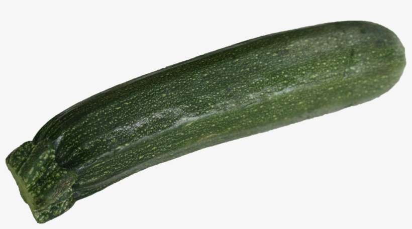 Courgette - - Zucchini PNG Image | Transparent PNG Free Download on SeekPNG