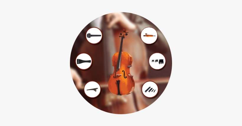 Cello Parts - Symmetry PNG Image | Transparent PNG Free Download on SeekPNG