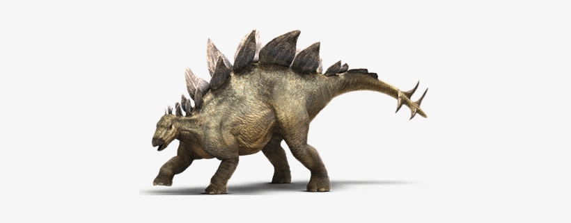 Stegosaurus - Stegosaurus Png PNG Image | Transparent PNG Free Download ...