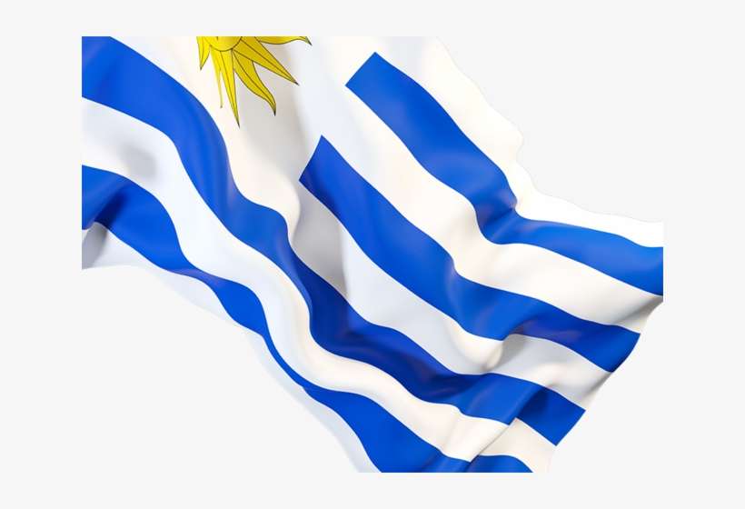 Flag PNG Image | Transparent PNG Free Download on SeekPNG