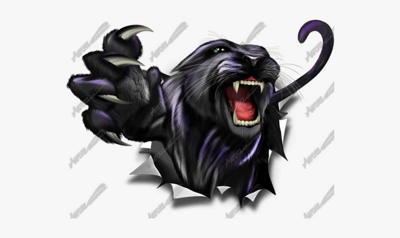 Panther Png Clipart - Tiger Rip PNG Image | Transparent PNG Free ...