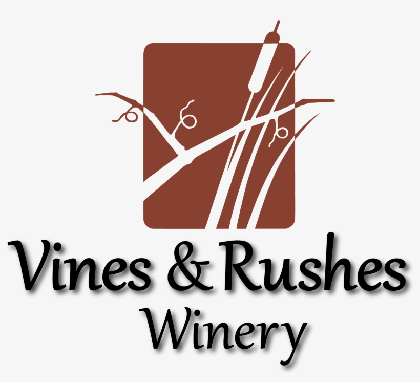 Logo And Name Below, Png, Color - Graphic Design PNG Image ...