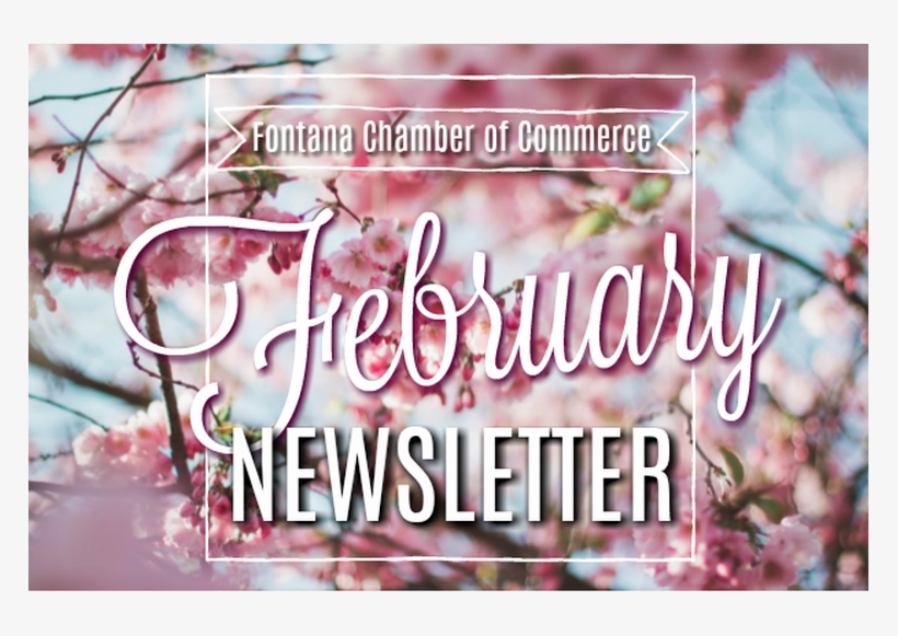 February Newsletter - Cherry Blossom Festival Sydney PNG Image ...