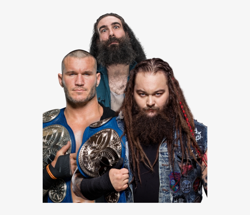 Luke Harper, Randy Orton And Bray Wyatt - Wwe Smackdown Tag Team ...