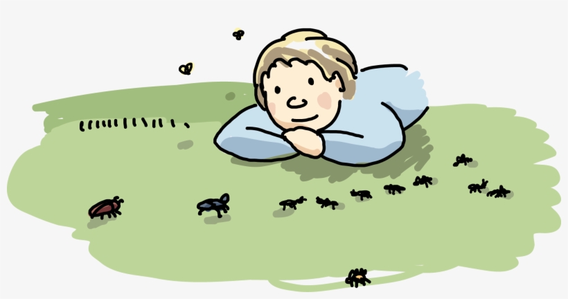Have You Ever Watched The Small Ant And Bugs With Their - Cartoon PNG ...