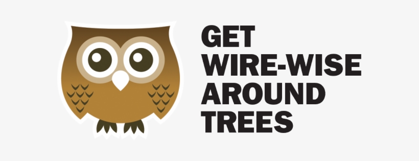 Get Wire Wise - Tree PNG Image | Transparent PNG Free Download on SeekPNG