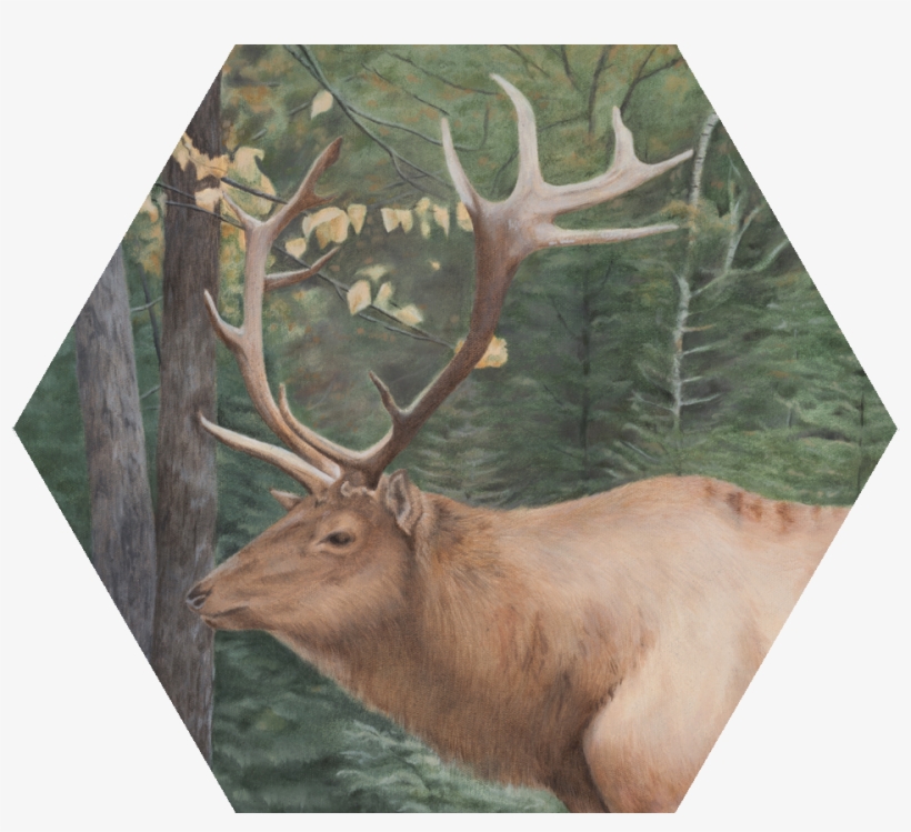 Elk - Portable Network Graphics PNG Image | Transparent PNG Free ...