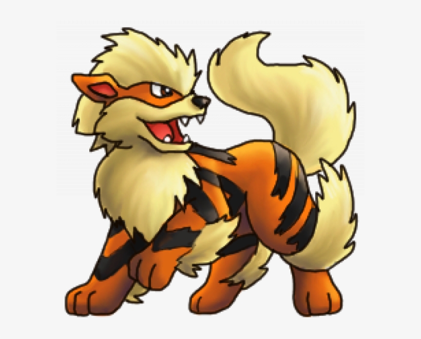 Growlithe And Arcanine Pokemon - Dessin De Pokemon Arcanin PNG Image ...