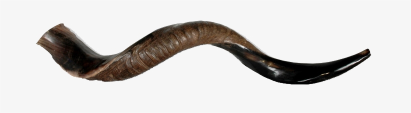 Yemenite Shofar - Shofar Png PNG Image | Transparent PNG Free Download ...