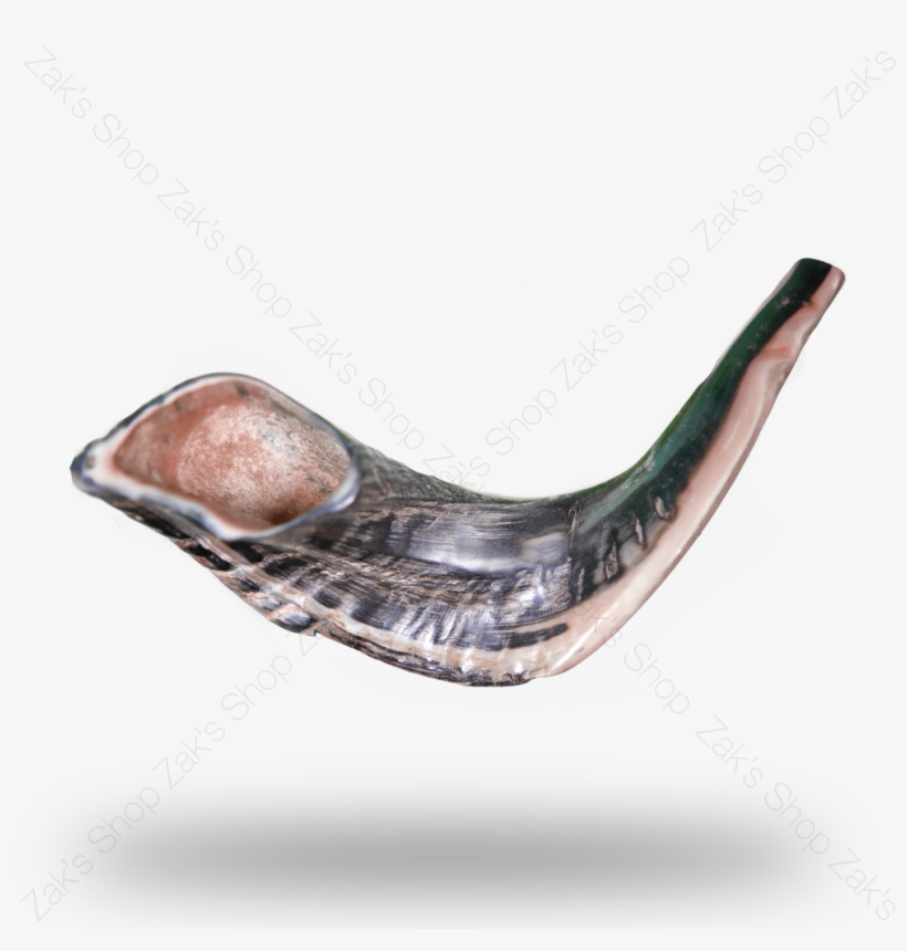 Shofar Horn Png - Library PNG Image | Transparent PNG Free Download on ...