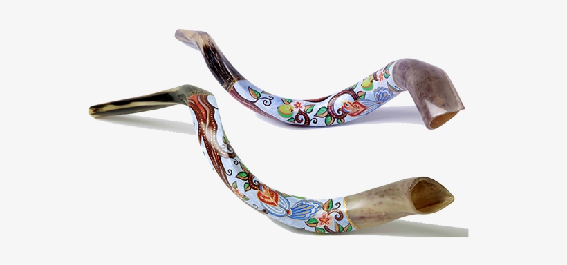 Back To Top ^ - Shofars PNG Image | Transparent PNG Free Download on ...