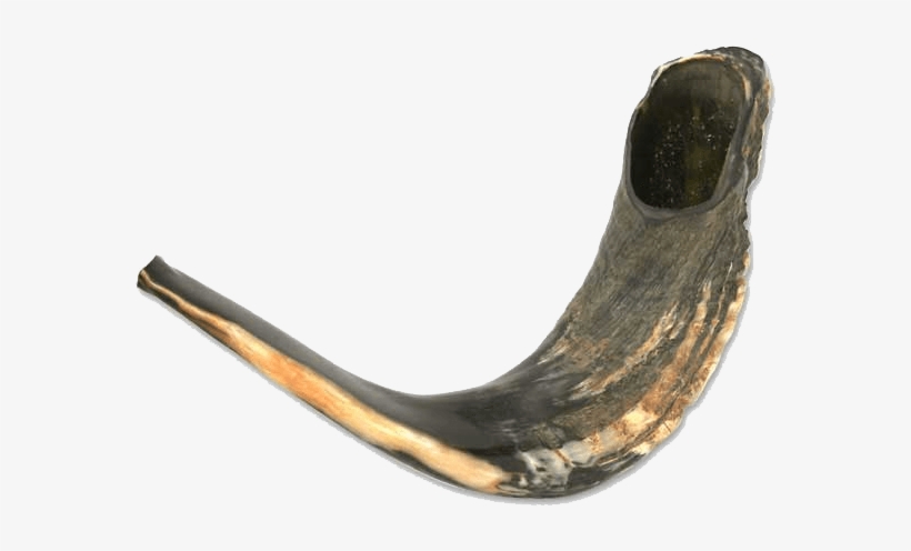 Shofar Horn Png Image Freeuse - Shofar PNG Image | Transparent PNG Free ...
