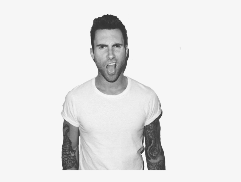 Adam Levine No Background PNG Image | Transparent PNG Free Download on ...