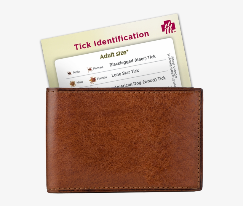 Tick Card In Wallet - Lifesystems Tick Remover Card PNG Image ...