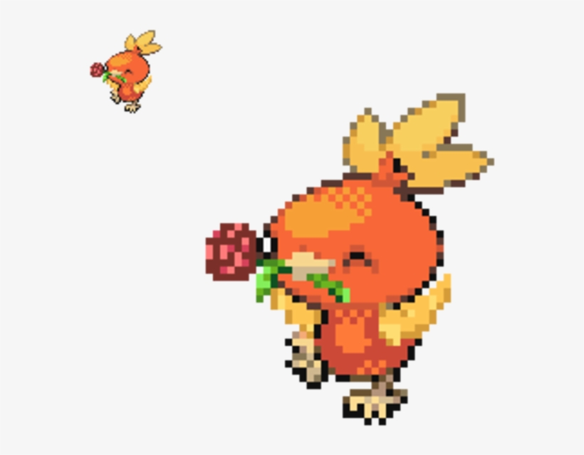 Download Pokemon Torchic Sprite | Transparent PNG Download | SeekPNG
