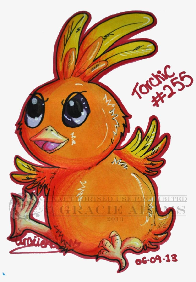 Download #255 Torchic - Cartoon | Transparent PNG Download | SeekPNG