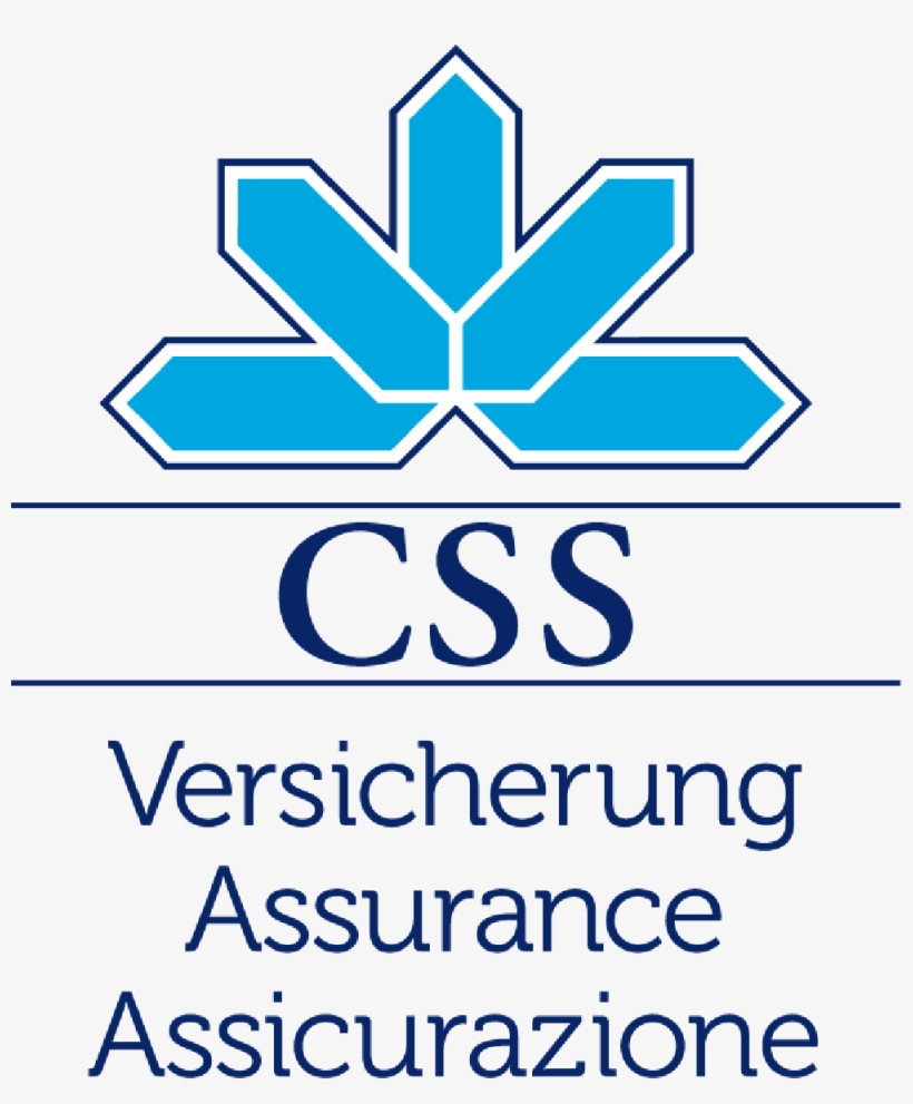 Css Logo PNG Images | PNG Cliparts Free Download on SeekPNG