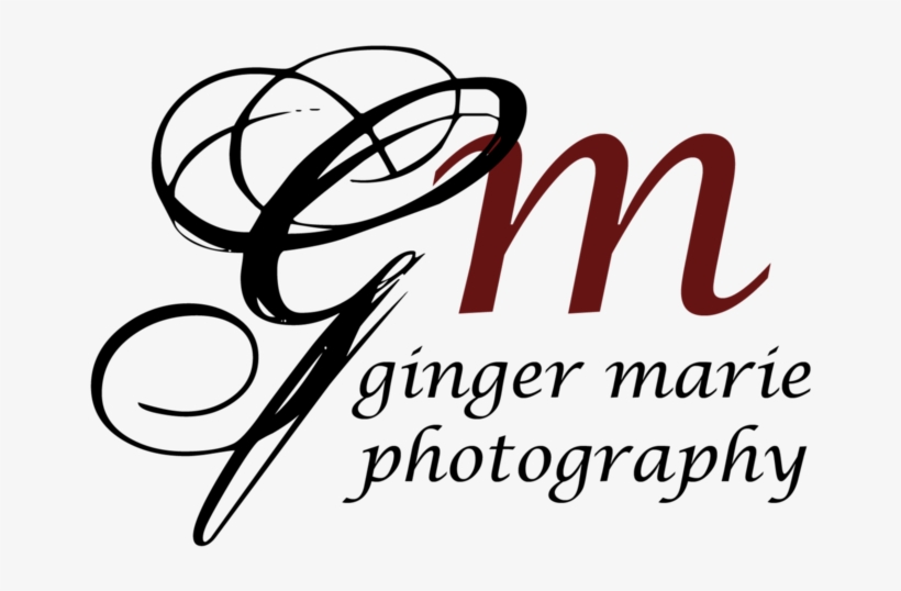 Gm Logo Final White Transparent 300 Dpi PNG Image | Transparent PNG ...