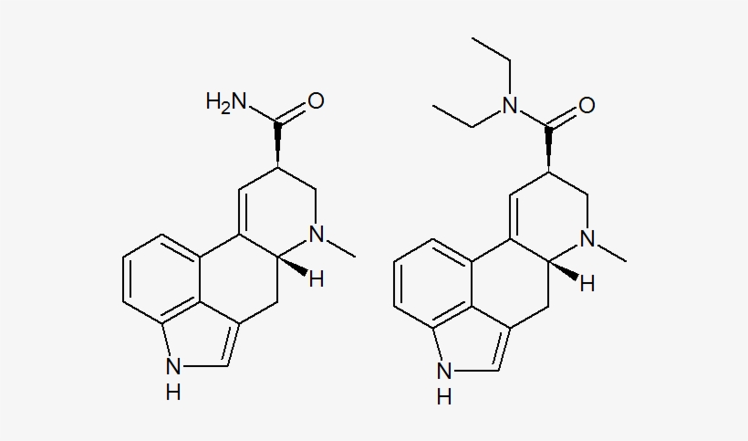 Ergine And Lsd (right) - Serotonin Compared To Lsd PNG Image ...