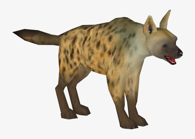 Download Spotted Hyena | Transparent PNG Download | SeekPNG